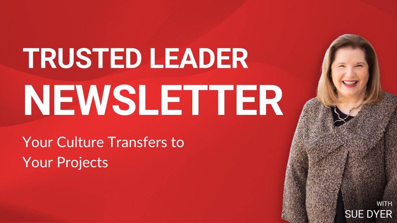 Your Culture Transfers to Your Projects - Sudyco